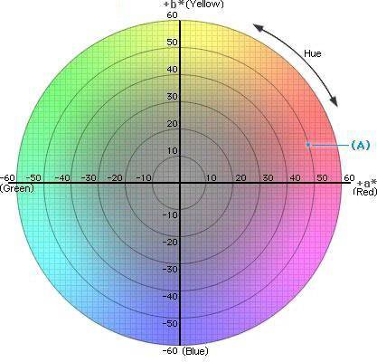u172 BioconColors, Natural colors, colouring foods, colors, color ...